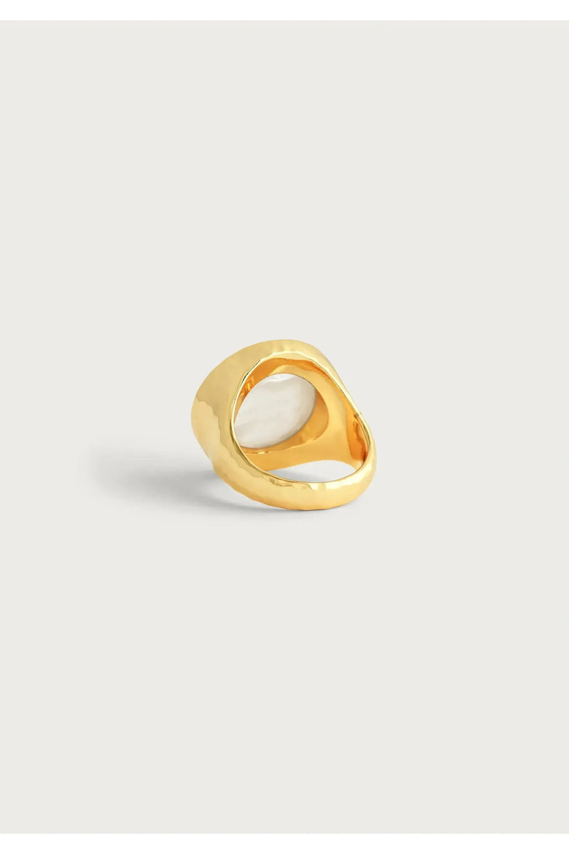 Pegasus Pearl Coin Signet Ring – Carrie Dunham