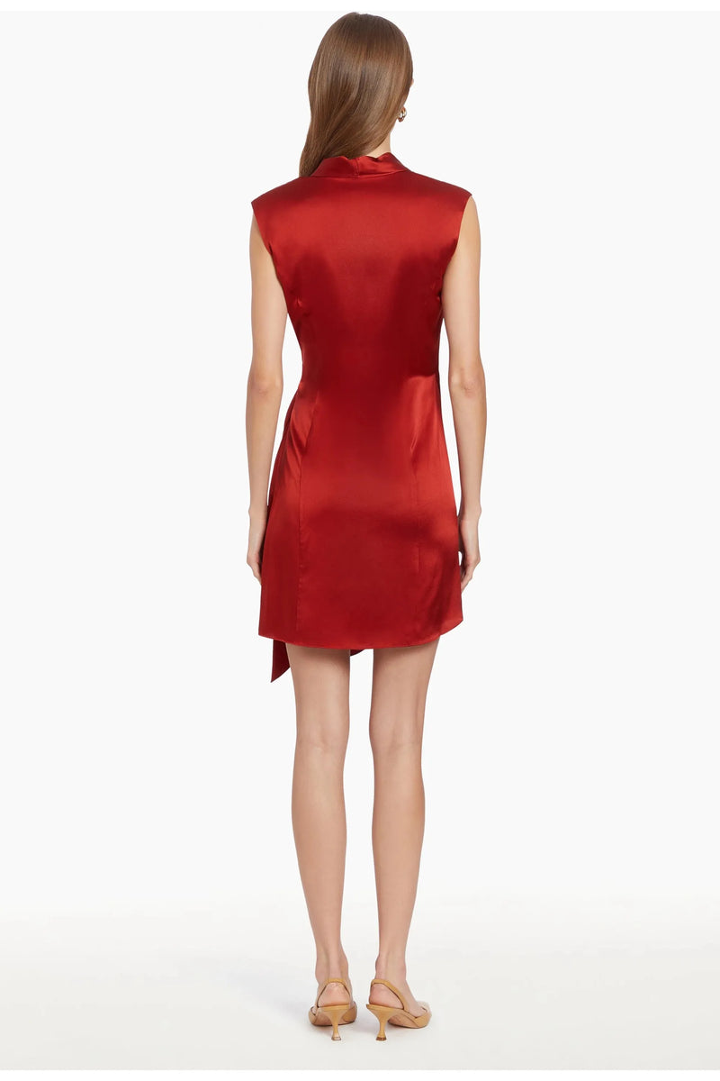 Cinnamon Sleeveless Wrap Clara Dress – Carrie Dunham