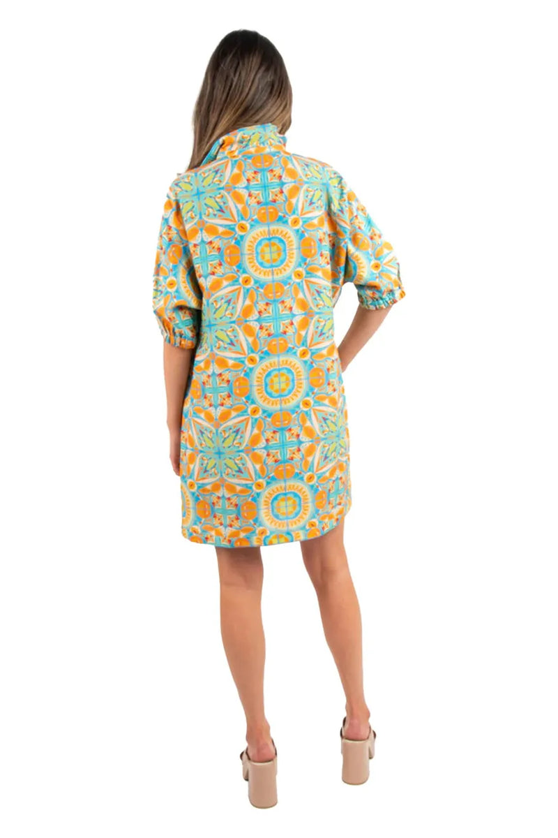 Poolside Short Sleeve Mini Poppy Dress – Carrie Dunham