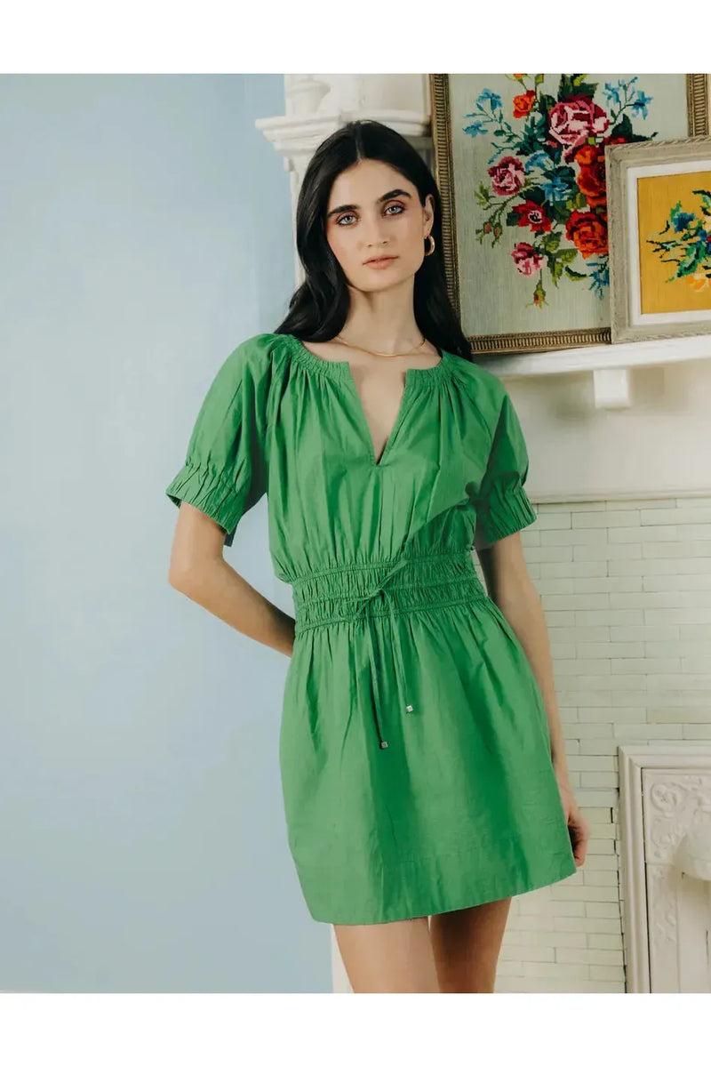 Greenbriar Short Sleeve Noah Mini Dress – Carrie Dunham